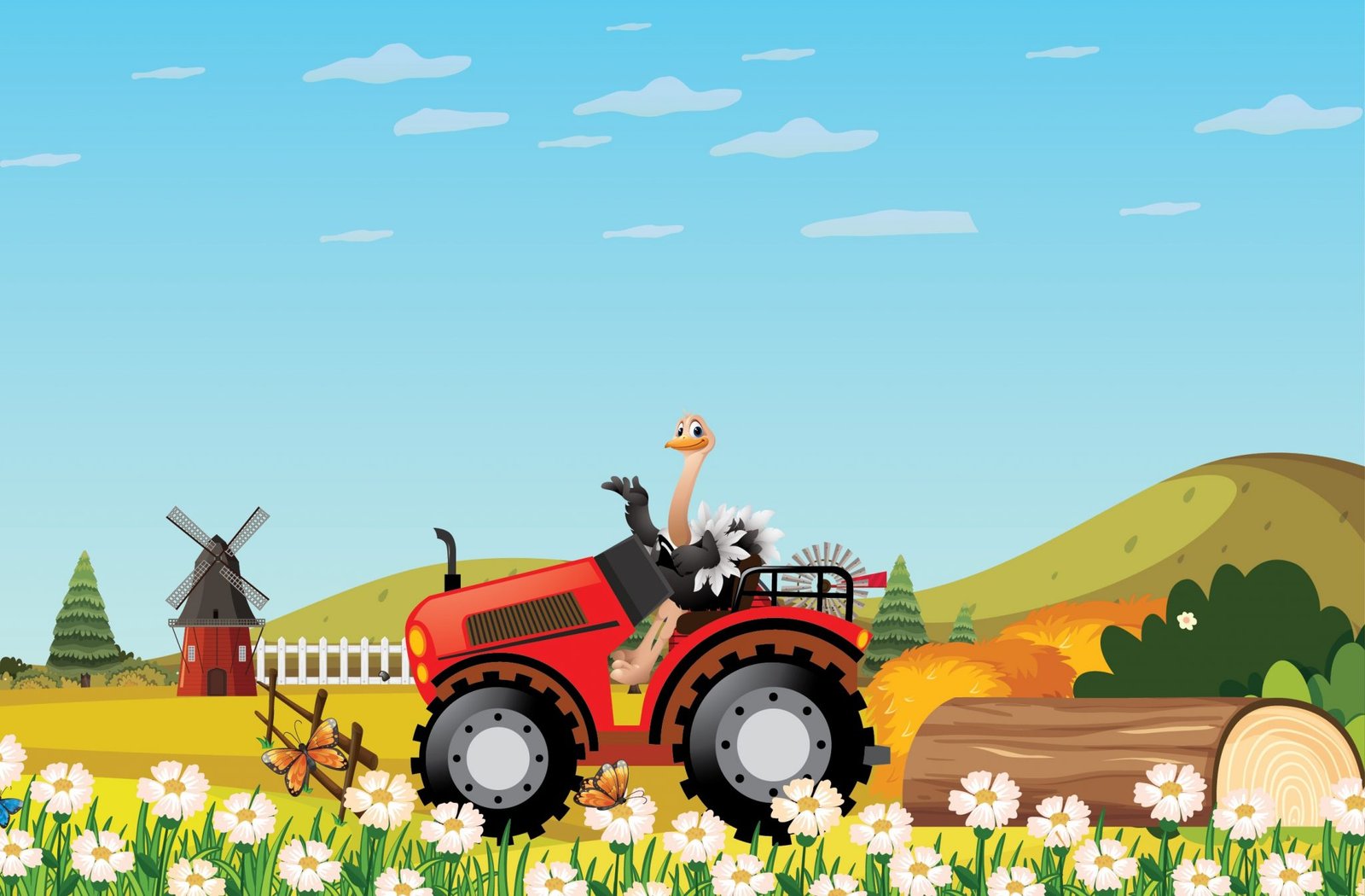 Visit Our Farm – OstrichLand
